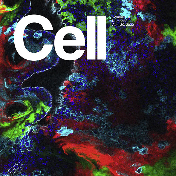 Home - Laboratory of Stem Cells and Cancer